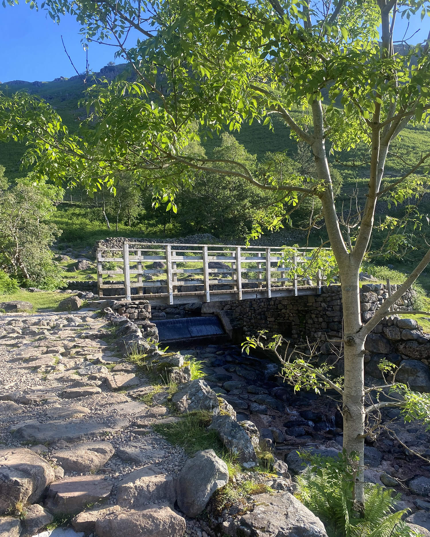 Harrison Stickle & Pavey Ark - LangdaleActive
