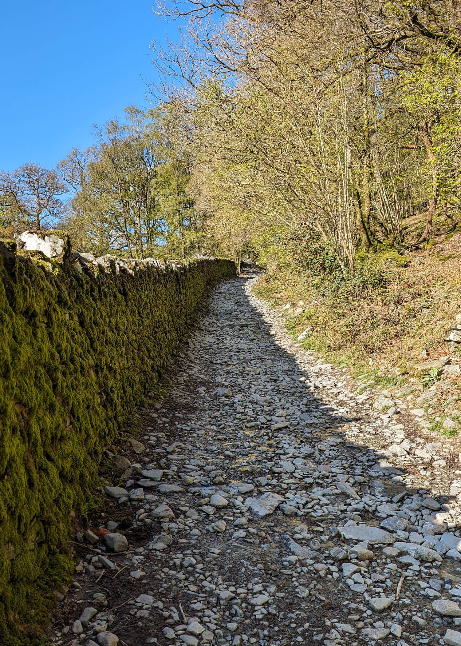 Lingmoor Wainwright in the Lake District - LangdaleActive