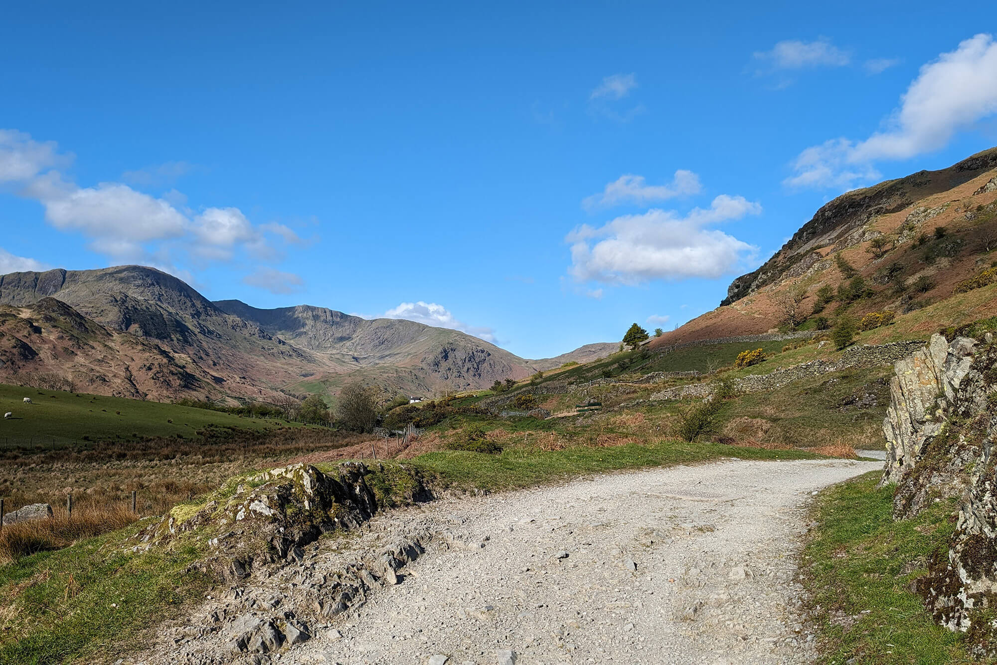 Lingmoor Wainwright in the Lake District - LangdaleActive