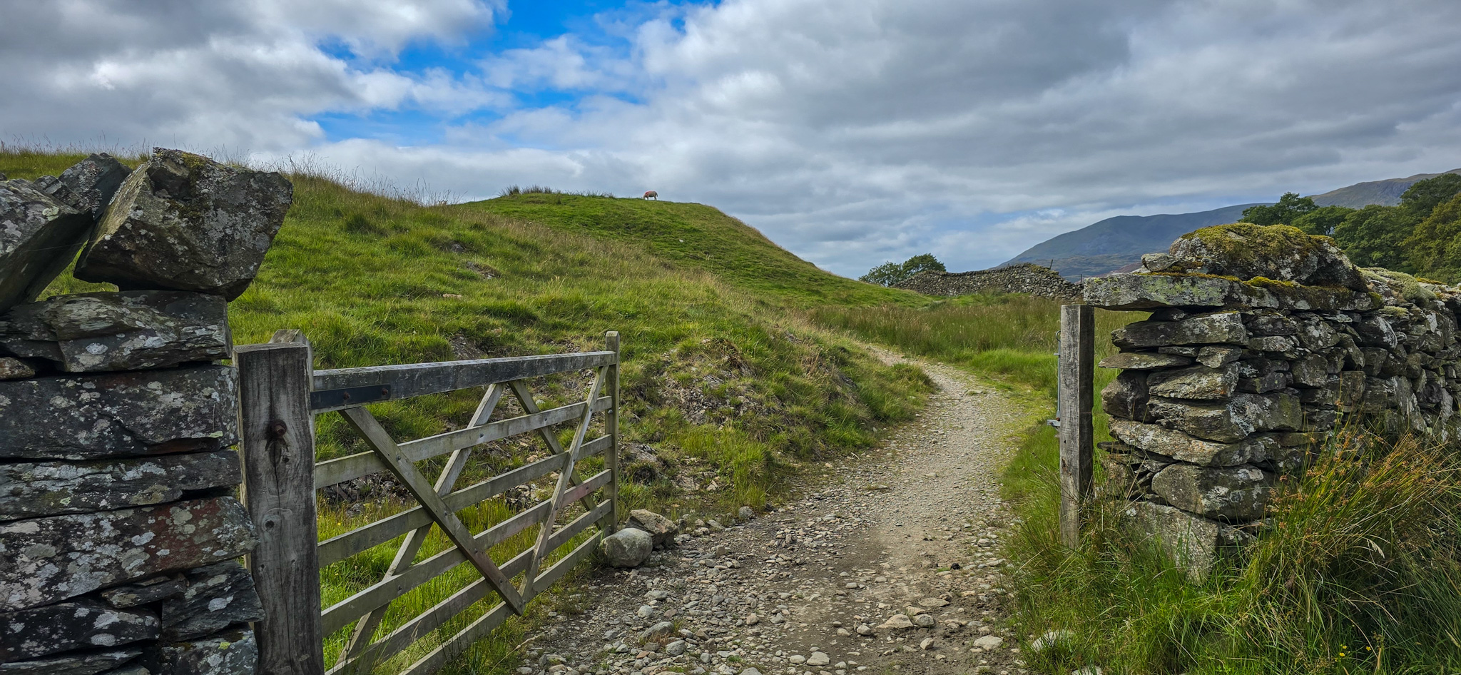 Black Fell Wainwright - Things to do in the Lake District- LangdaleActive